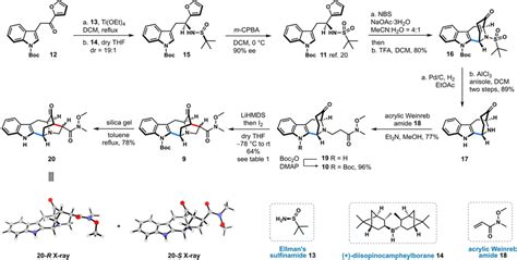 Synthesis Of Ketone 9 By Intramolecular Oxidative Heterocoupling