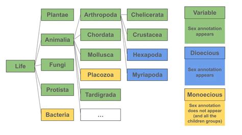 Specific Sex Annotations For Each Taxon Page 2 Feature Requests Specific Sex Annotations For Each Taxon Page 2 Feature Requests