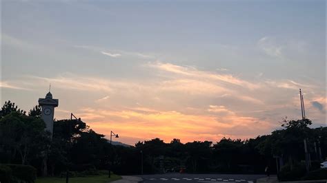 Vlog 제주도 힐링 여행 브이로그🌴 Youtube