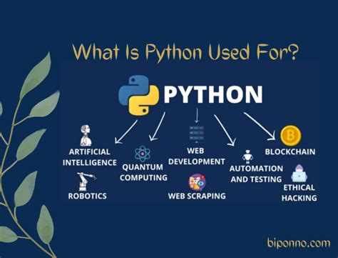 Python For Allan Easy Entry Into The World Of Programming Biponno