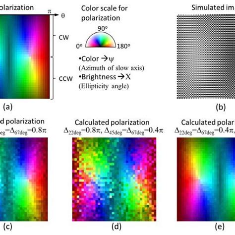 Simulation Of Polarization Imaging And Analysis A Input Polarization Download Scientific