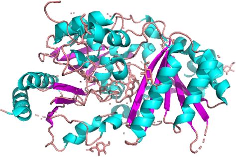 Structure Of Thca Synthase By X Ray Crystallography Download Scientific Diagram
