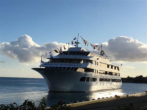 Star Of Honolulu Dinner And Whale Watch Cruises 2021 All You Need