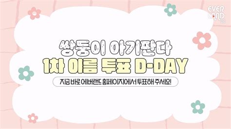 에버랜드 쌍둥이 판다 이름 짓기 투표 시작  유머 움짤 이슈 에펨코리아