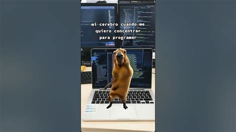 Vba Youtube