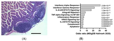 Journal Of Xenobiotics An Open Access Journal From Mdpi