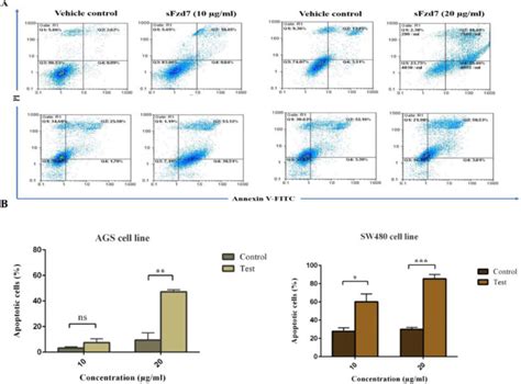 Anti Tumor Activity Of A Recombinant Soluble Fzd7 Decoy Receptor In