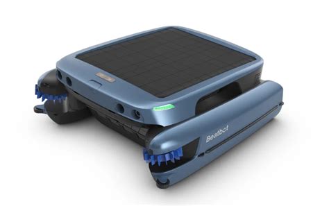 Effective Algae Removal Keeping Your Pool Crystal Clear Beatbot