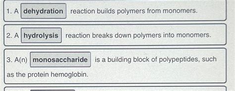 Solved A Reaction Builds Polymers From Monomers A Reaction