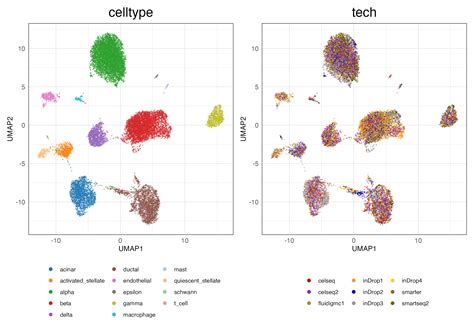 Dataset Pancreas