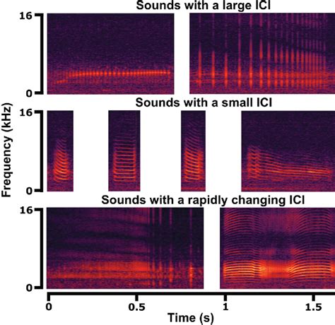 Spectrogram Colors At Hazel Peterson Blog