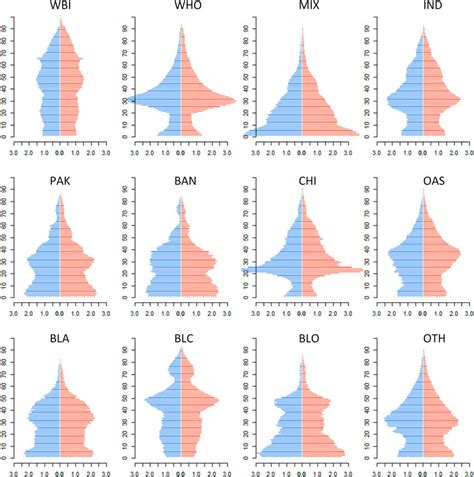 The Age And Sex Structure Of Each Ethnic Group In Download Scientific Diagram