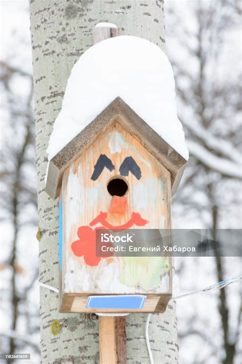웃는 새집입니다 나무에 재미있는 얼굴의 형태로 새집 눈으로 덮인 수제 나무 둥지 상자 눈 덮인 나무와 겨울 풍경입니다 0명에 대한 스톡 사진 및 기타 이미지 Istock