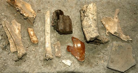 Conservation Of Archaeological And Museum Objects Pp F4kh09 Durham