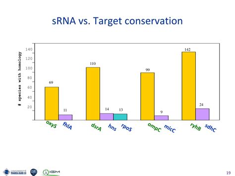 Ppt Phylogenetic Signatures Of Rna Rna Contacts In Bacteria Powerpoint Presentation Id9542917