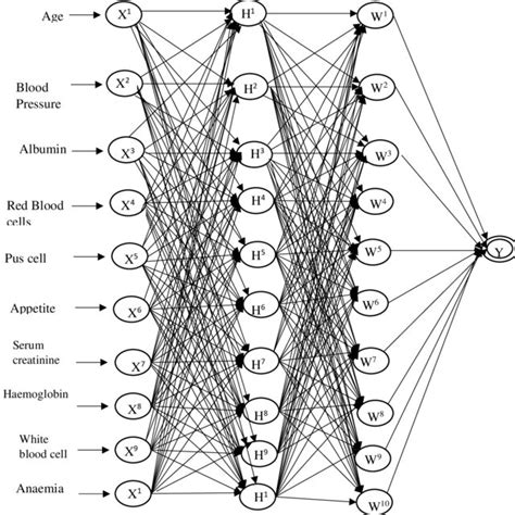Model Architecture Of Deep Belief Network Download Scientific Diagram