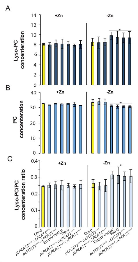 Effect Of The Polymorphisms In The Regulatory Region Of Lpcat1 On The