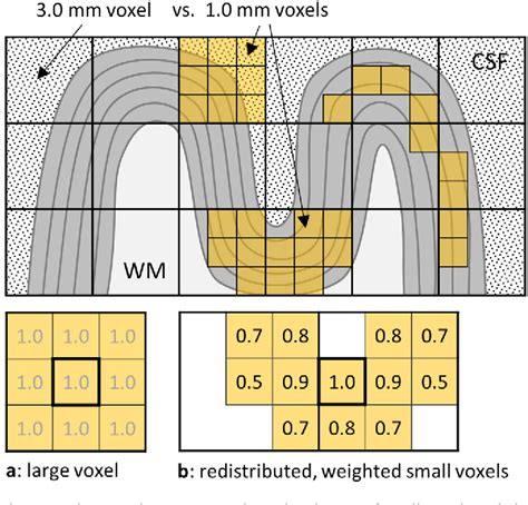 figure 2 from intracortical smoothing of small voxel fmri data can