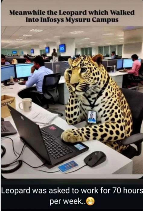 शिshir Tekade On Linkedin Ah Great To Hear That Python 🐍 Is Already