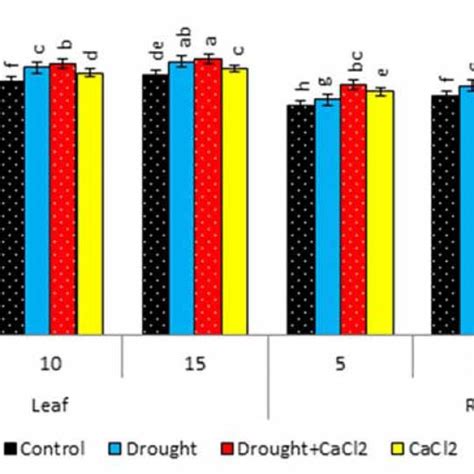 effect of cacl 2 on proline accumulation in hordeum vulgare l under