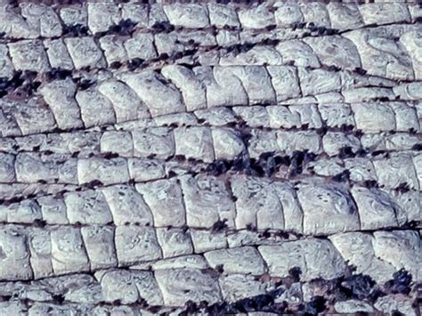 Fracture Conductivity Tuning Image Eurekalert Science News Releases