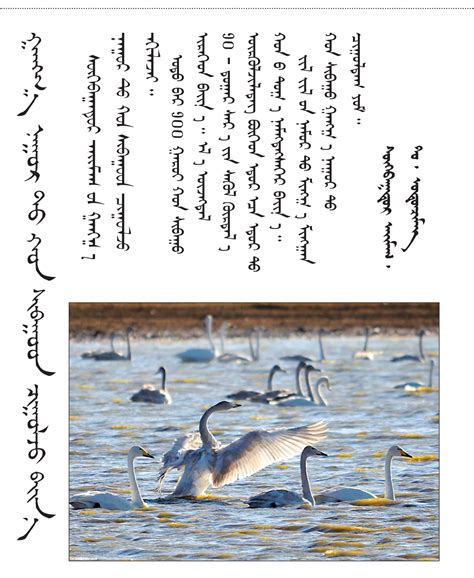 Жил жилийн намарт мянга мянган хун Хүмүүн бичиг сонин