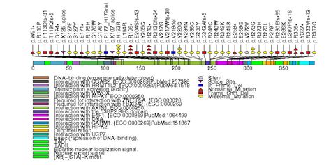 Mutation Analysis Mutsig 2cv V31
