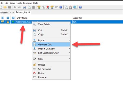Sap Pipo Client Certification Authentication A Complete Guide