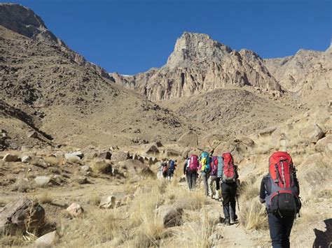 گالری تصاویر قله شیرکوه باشگاه کوهنوردی تهران