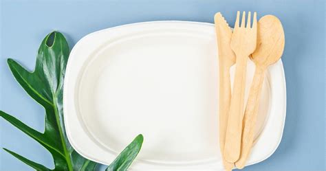 Understanding Bagasse Cutlery A Sustainable Alternative To Plastic