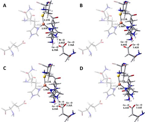 Dft Optimized Models For Oxidized Wt Fet3p This Is The Same As Figure