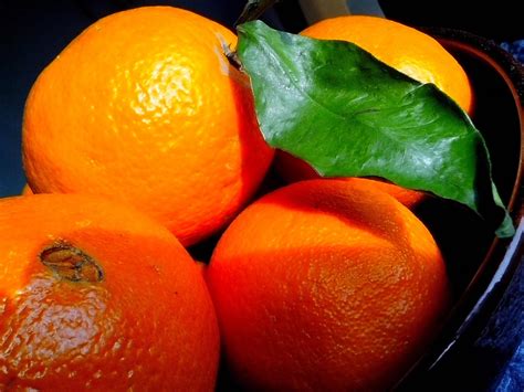 Free Picture Big Oranges Leaves Bowl