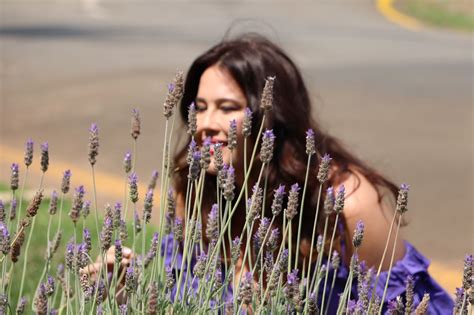 Chama Violeta Fitoalquimia