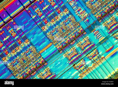 the computer chip under the microscope
