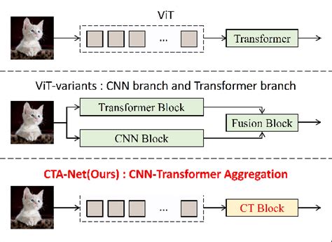 Cta Net A Cnn Transformer Aggregation Network For Improving Multi