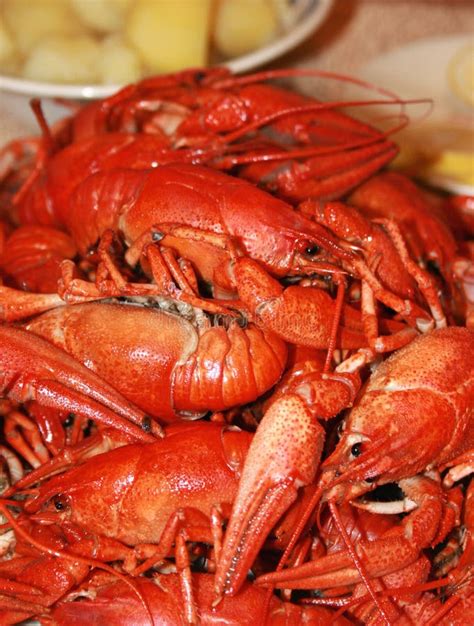 Fresh Crawfish Stock Image Image Of Delicious Prepared 7077075