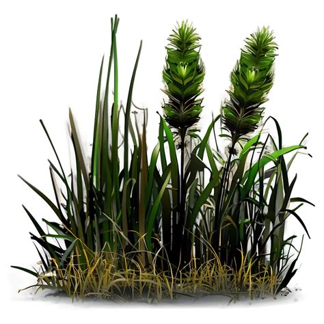 Download Flat Grass Clipart Png 34