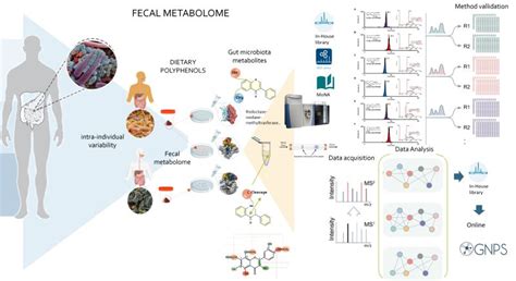 The Fecal Metabolome Represents A Dynamic And Complex Profile Of