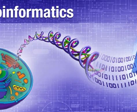 Best Bioinformatics Courses And Certificates [2025] Coursera Learn Online