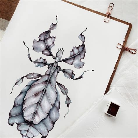 Grays Leaf Insect Phyllium Bioculatum Watercolour Giclée Print