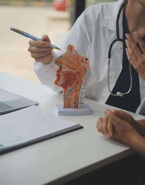 Female Doctor Explaining To Patient Results Of Model The Process Of Patients Diagnosis Of