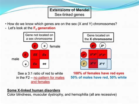 Genetics Lecture 2 Pw 2012 PPT