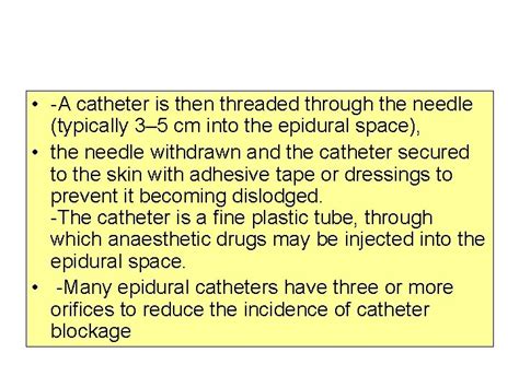 Analgesiaanesthesia Pudendal Block Local Anesthetic Is Inltrated Into