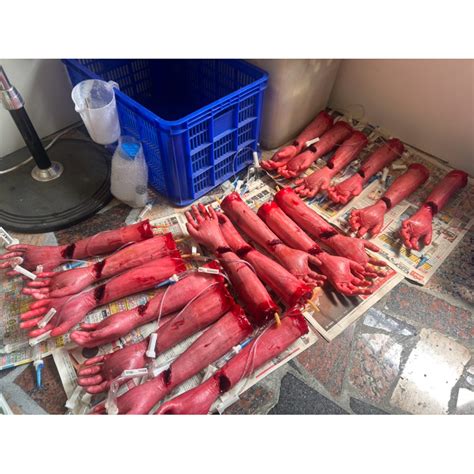 Tccc Phtls傷口填塞 Tecc 止血填塞 教具 假手 戰場醫學 野外醫學 Emt 止血帶參考 蝦皮購物