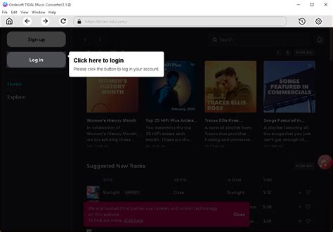 Ondesoft Tidal Music Converter For Windows Tutorial