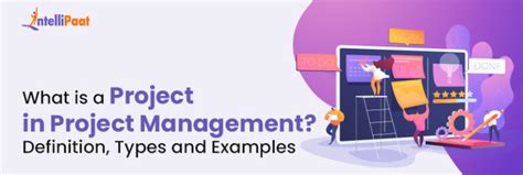 What Is A Project Definition Types And Examples Intellipaat