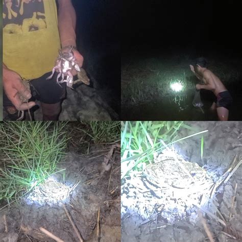 စိန်ကြီးဂေါင်းကြီးတို့ ရလာတဲ့ပုဇွန်တုတ်တွေနဲ့ ညီအကိုတို့တွေအရသာရှိရှိ ကင်စားကြမယ်😊😊 စိန်ကြီးဂေ