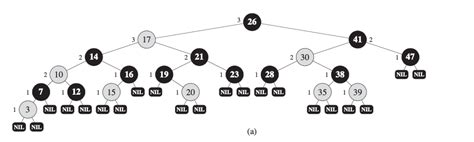 Exploring Graphing Algorithms In Computer Science By Garrett Codes