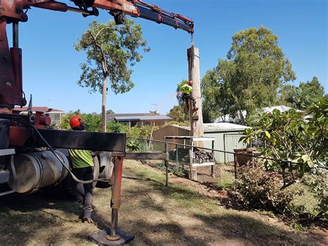 Tree Removal Tree Lopping