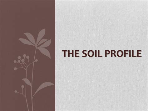 PPT The Soil Profile PowerPoint Presentation Free Download ID 1797257